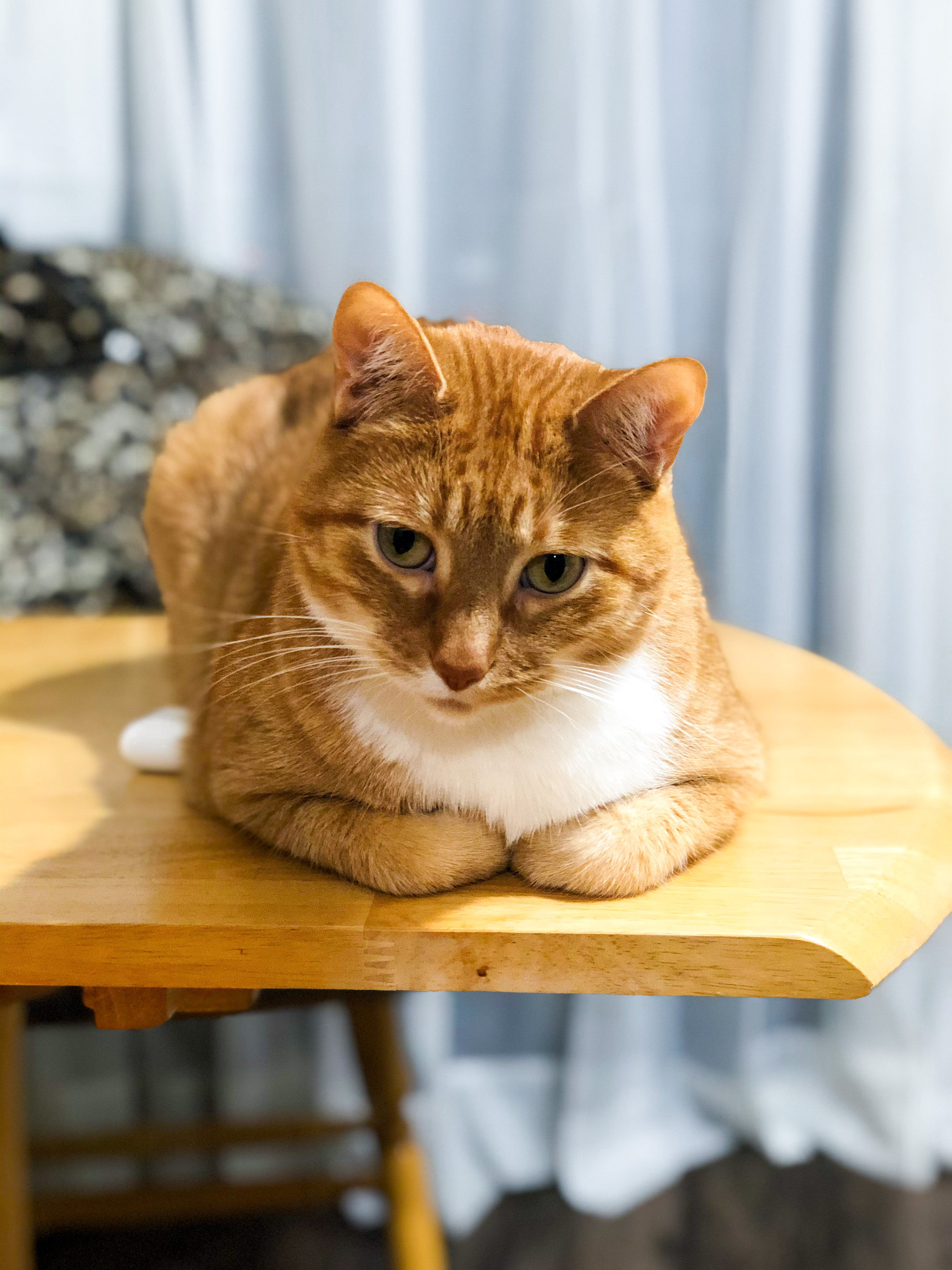 Biography: Alex Resendiz